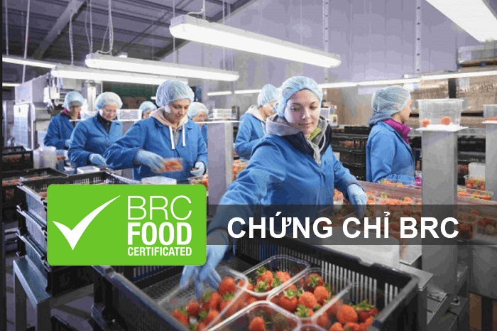 [BRC Certificate] Chứng chỉ BRC và những điều cần biết